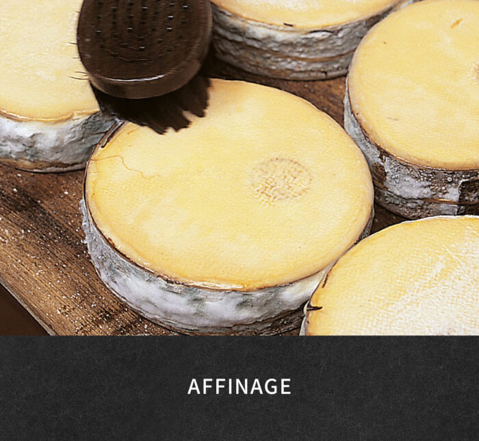 Hardegger Käse | Hardegger Käse