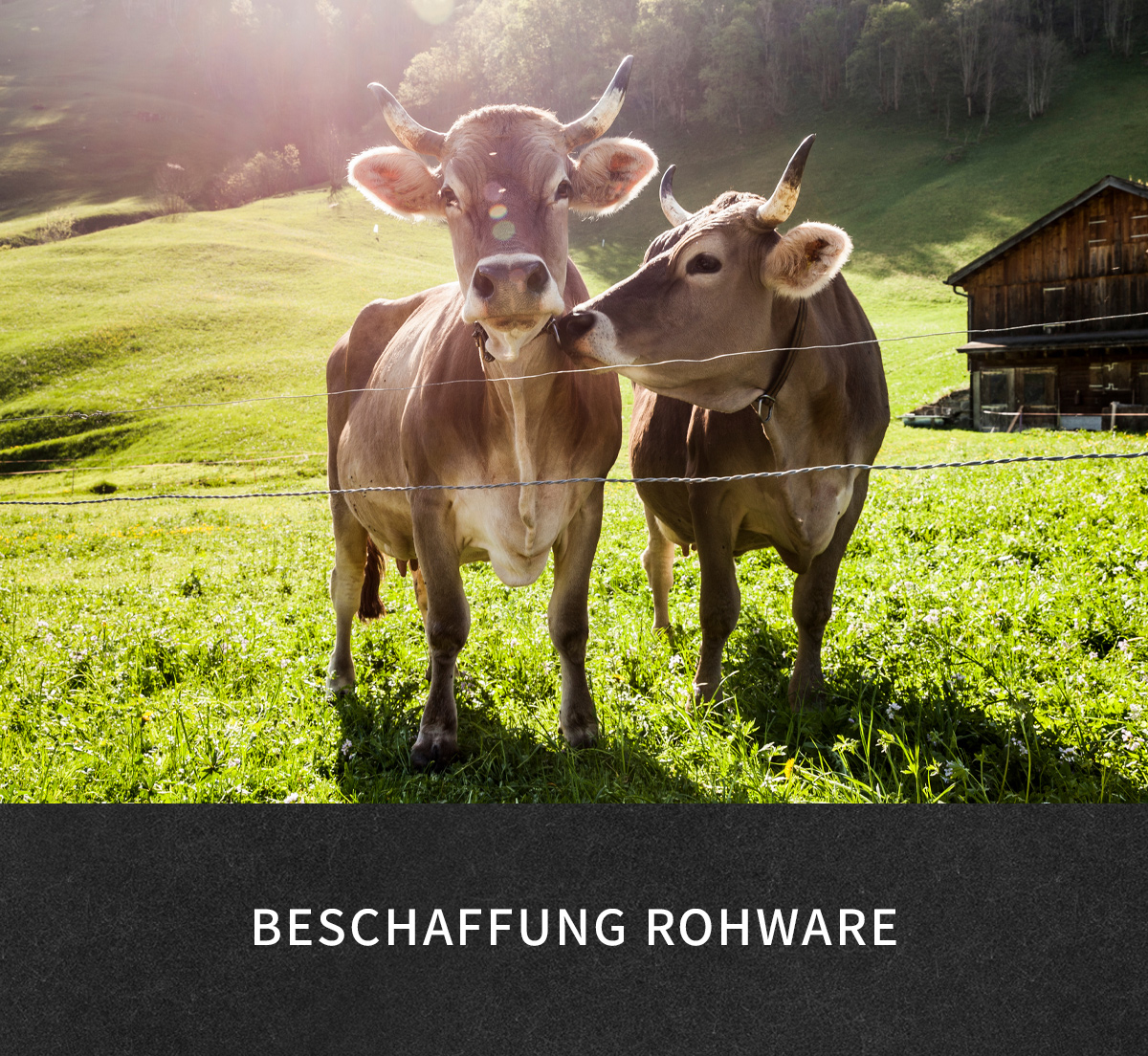 Hardegger Käse | Hardegger Käse