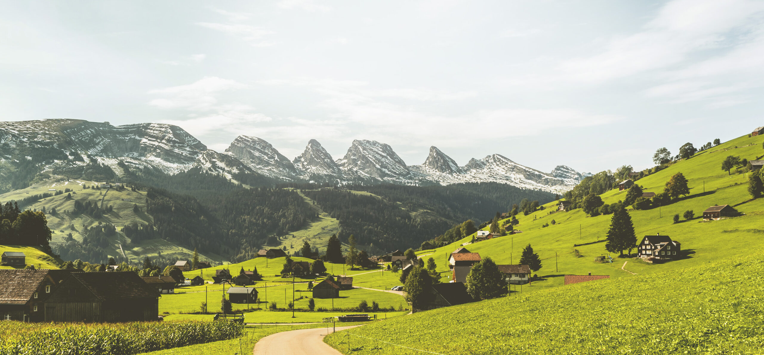 Hardegger Käse | Hardegger Käse